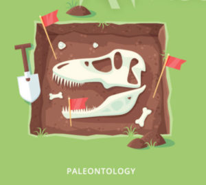 Identifying Dinosaurs - PROSConnections